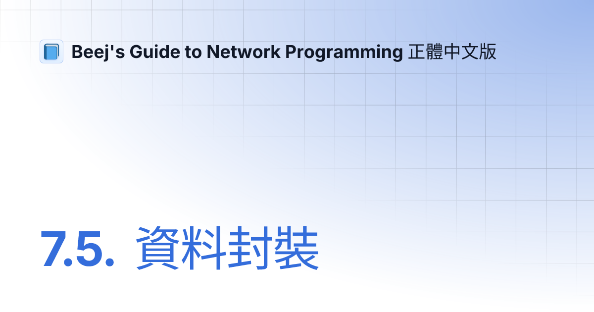 7.5. 資料封裝 | Beej's Guide to Network Programming 正體中文版